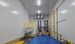 Apollo Storage – Official Website